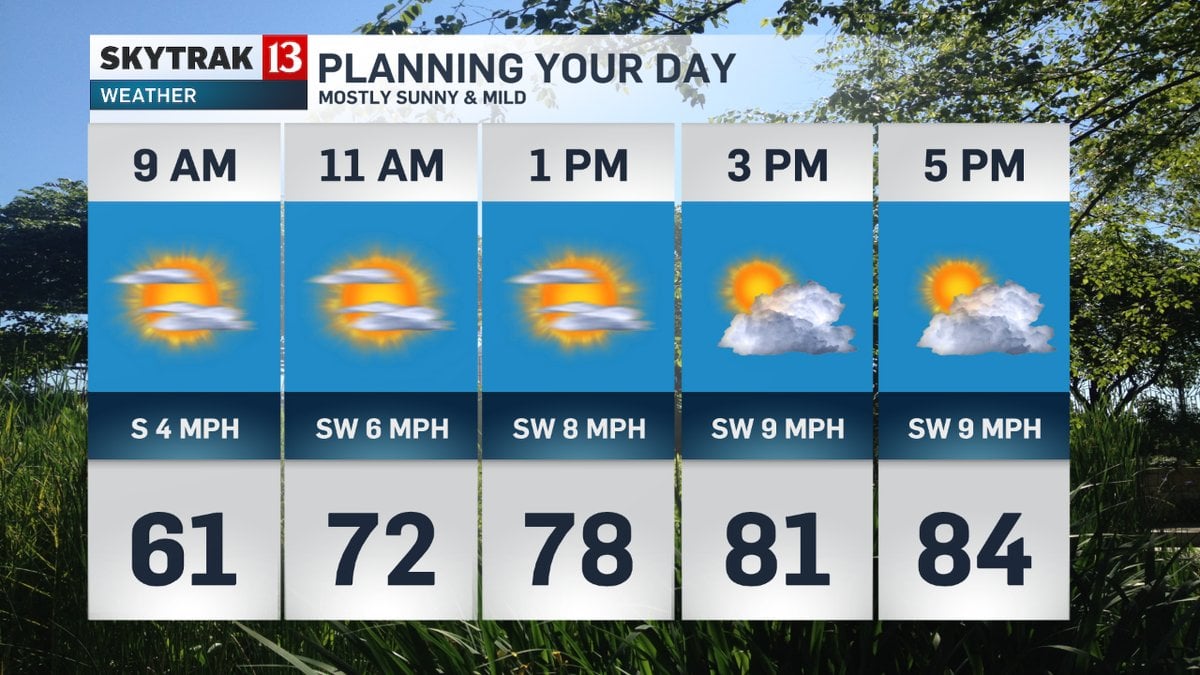 This Trick Will Help You Predict Your Wedding Day Weather