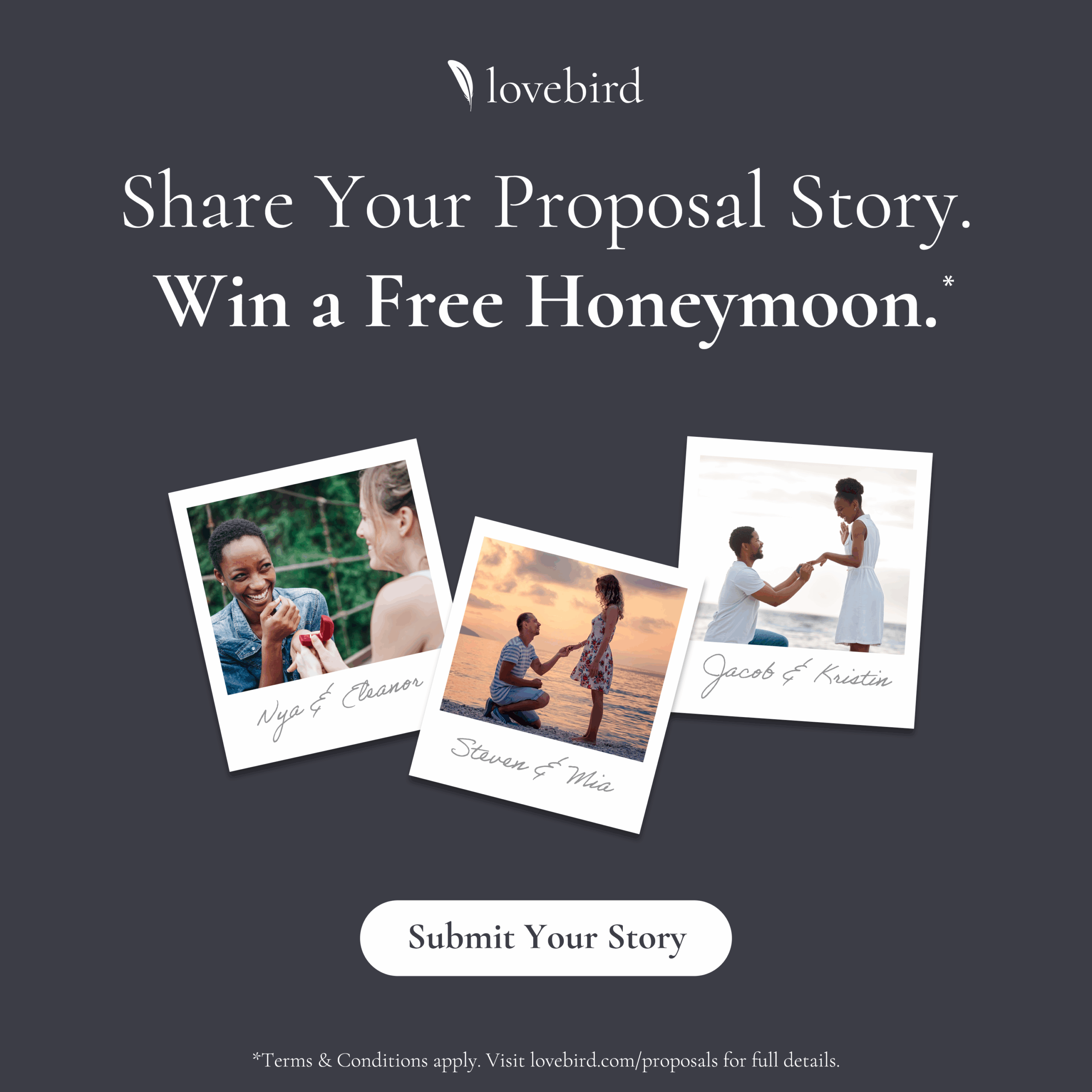 19 Wedding Program Examples to Elevate Your Ceremony